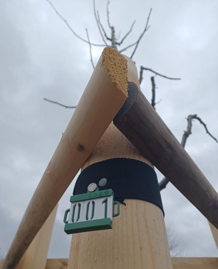 Baumpflege | KommunalServiceJena